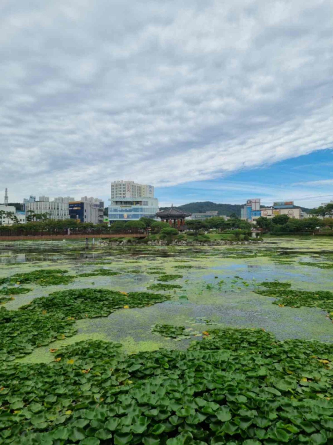 Six Things to Do in Seosan