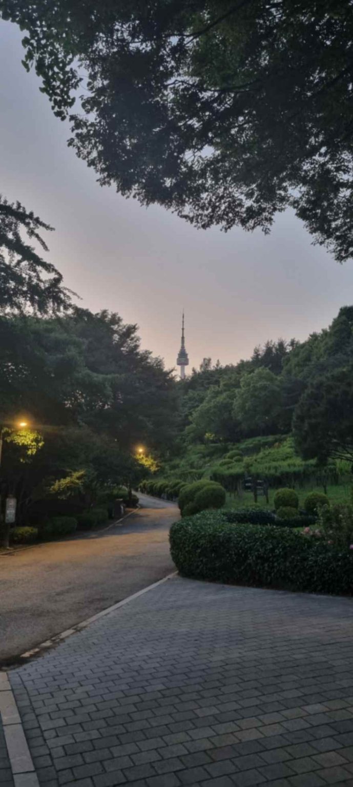 Things to Do in Seoul: Namsan Park