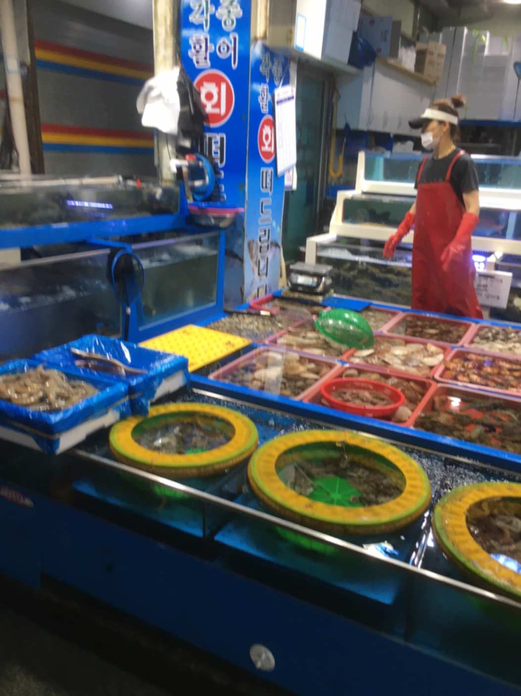 Six Things to Do in Seosan